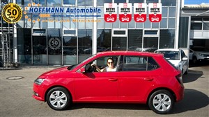 Beste Autohändler 2021 mit 1136 EU Neuwagen, Jahres- und Gebrauchtwagen ...